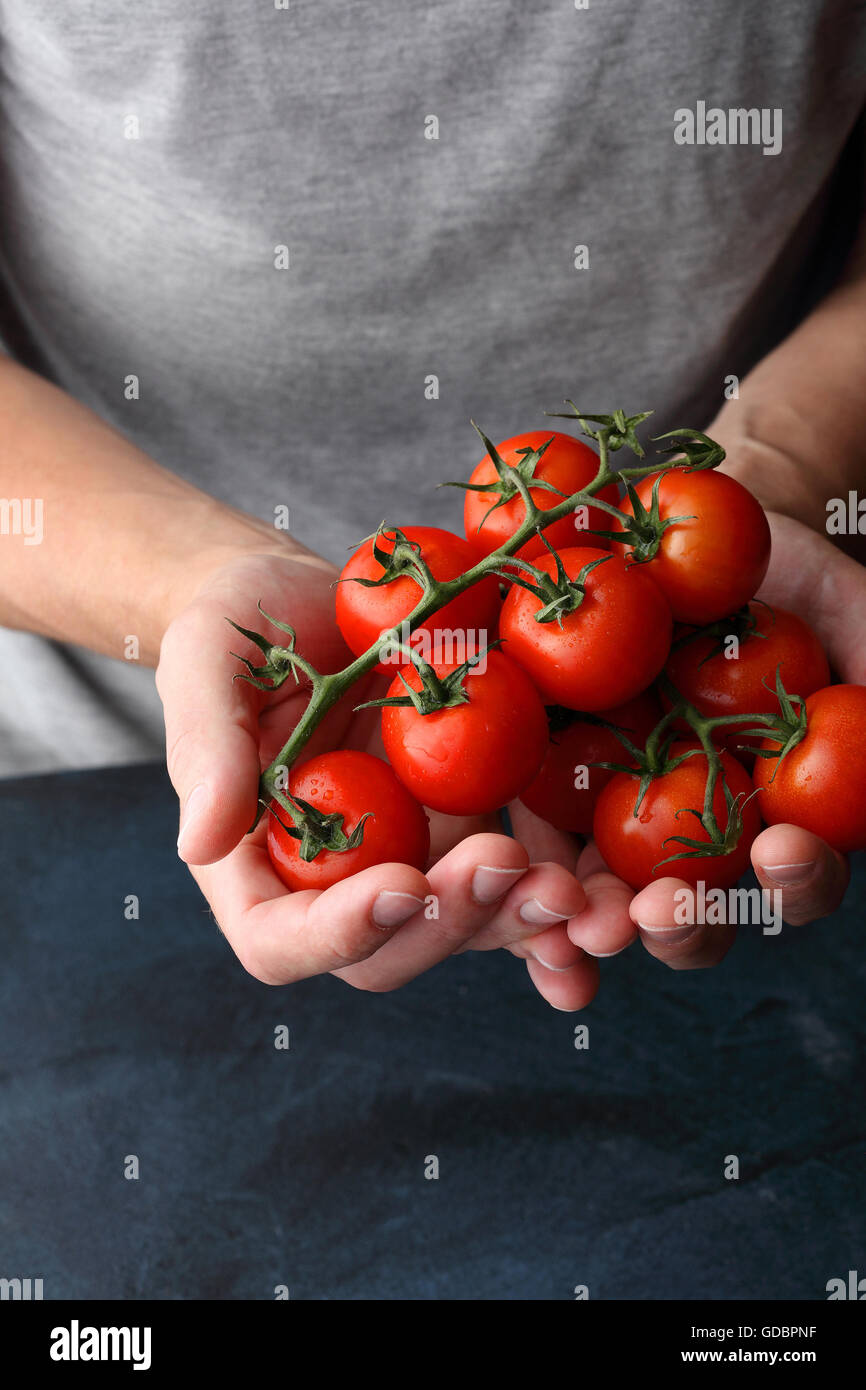 tomatoes in human hands, crop vegetables Stock Photo - Alamy