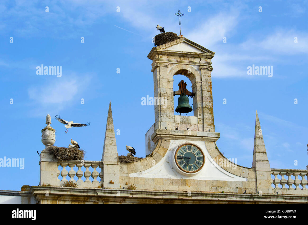 Storks Faro High Resolution Stock Photography and Images - Alamy