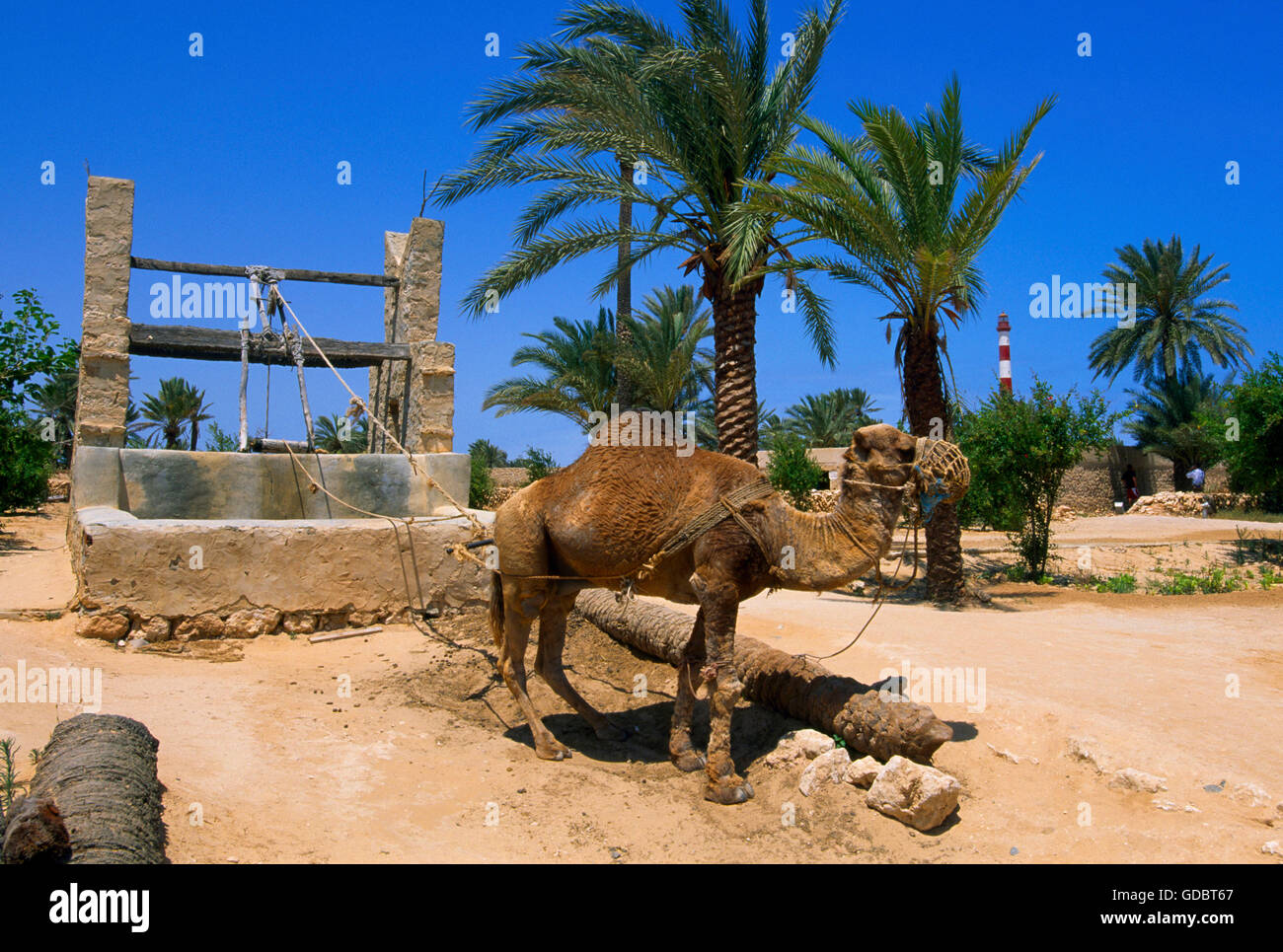 Explora Park, Djerba Island, Tunisia Stock Photo - Alamy