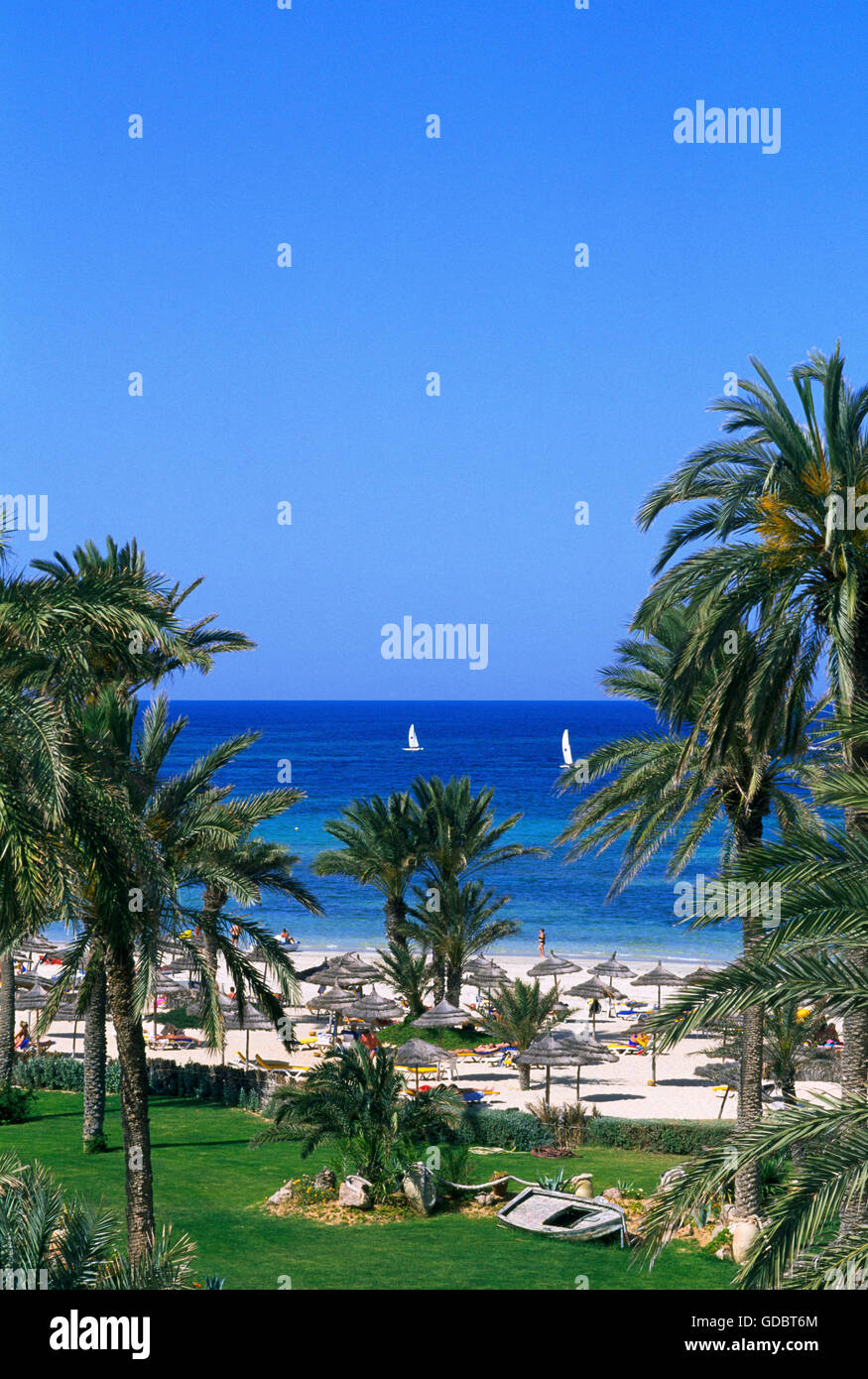 Oasis zarzis hi-res stock photography and images - Alamy