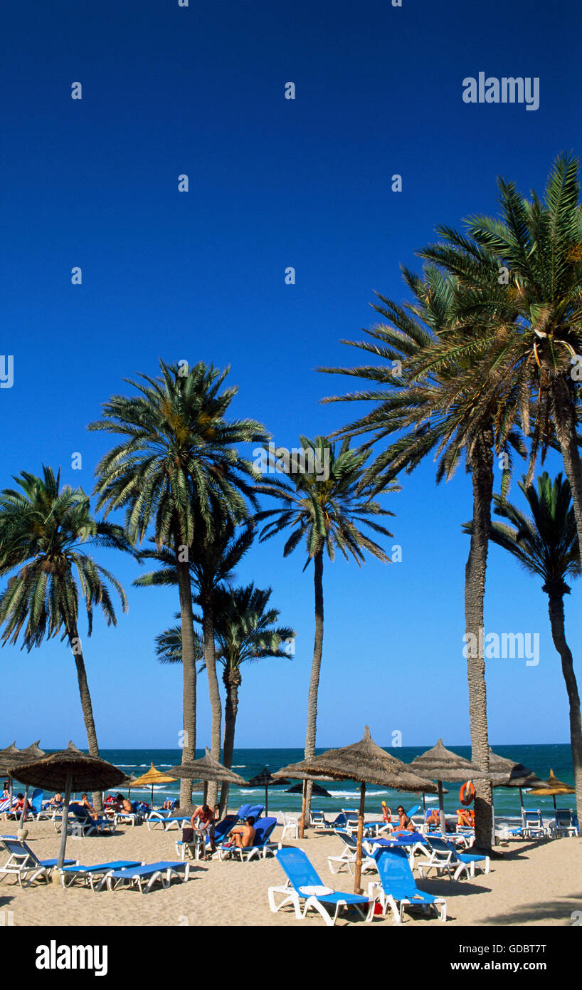 Beach in the Oasis Zarzis, Djerba Island, Tunisia Stock Photo - Alamy