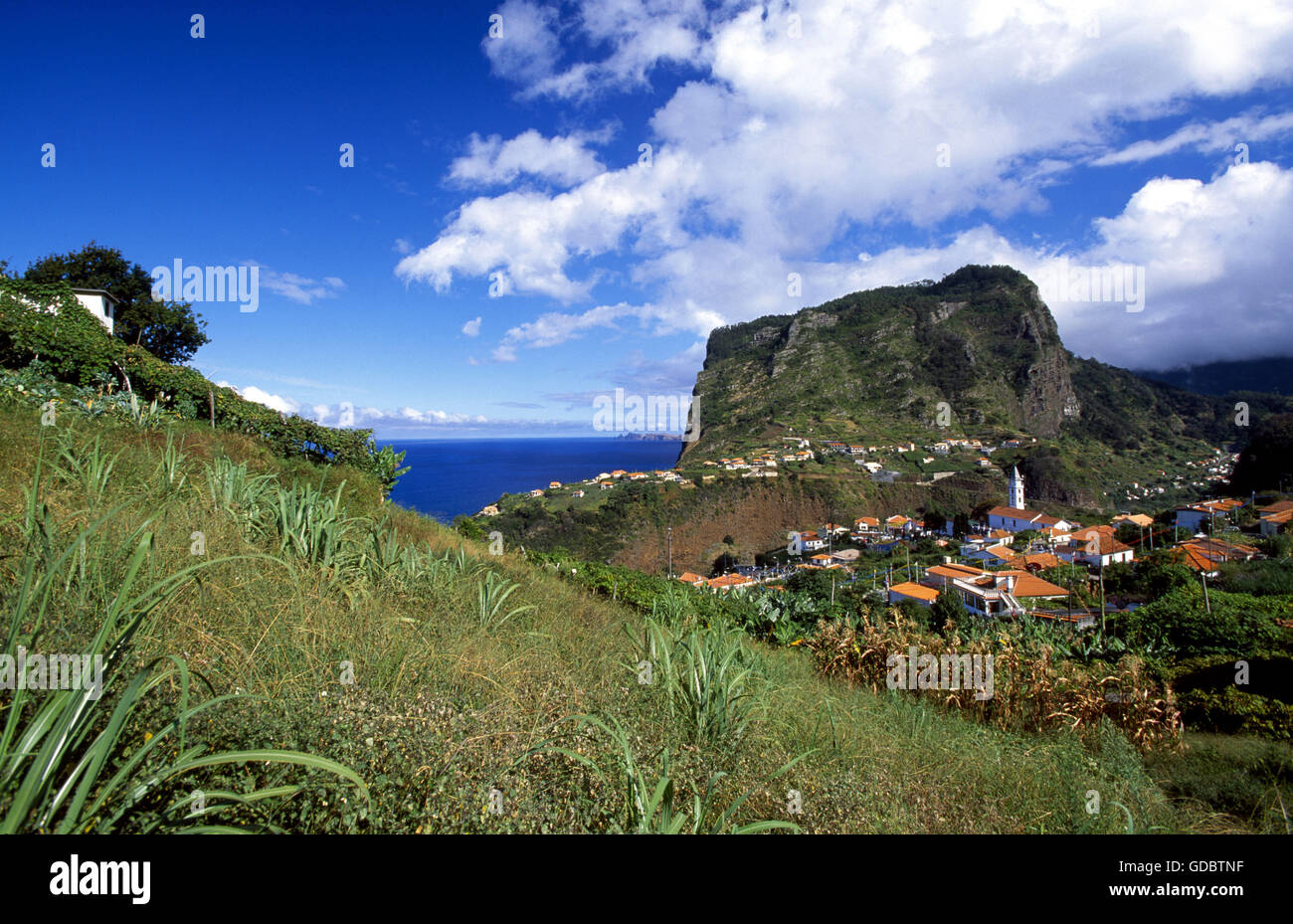 Faial Madeira High Resolution Stock Photography and Images - Alamy