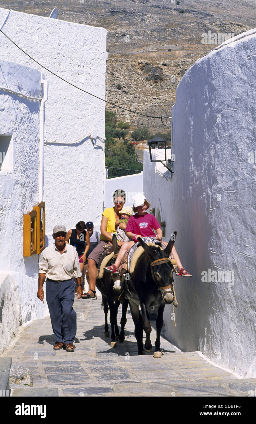 Donkeys in Lindos, Rhodes Island, Dodecanese, Greece Stock Photo - Alamy