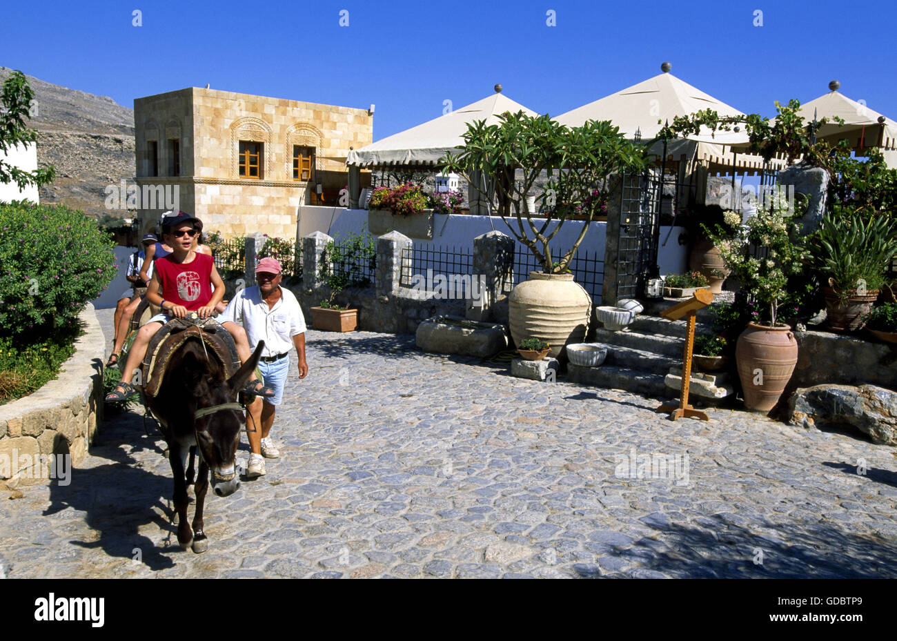 Donkeys in Lindos, Rhodes Island, Dodecanese, Greece Stock Photo - Alamy