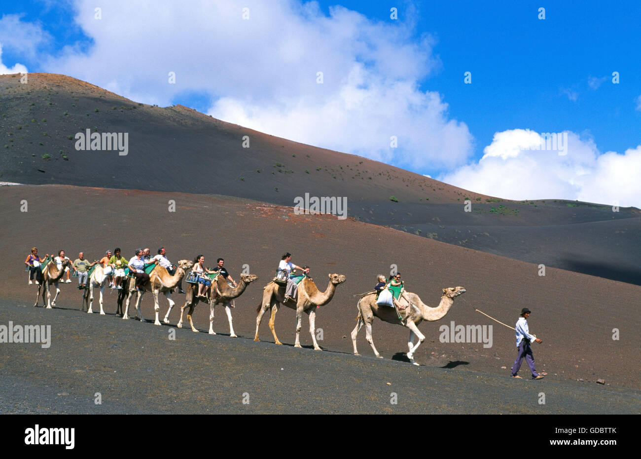 Camel tour in the Timanfaya National Park, Lanzarote, Canary Islands ...