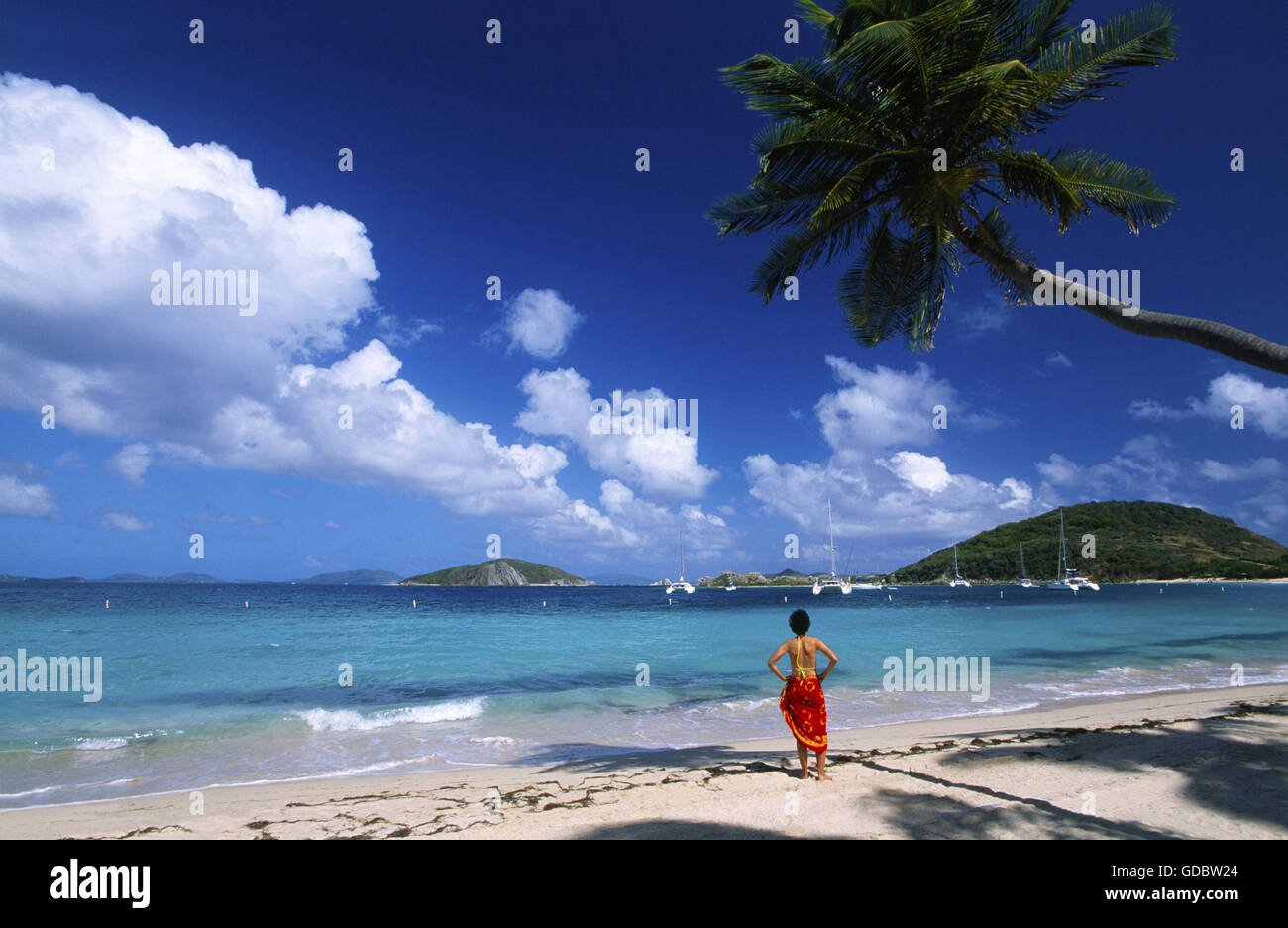 Beach on peter island british hi-res stock photography and images - Alamy