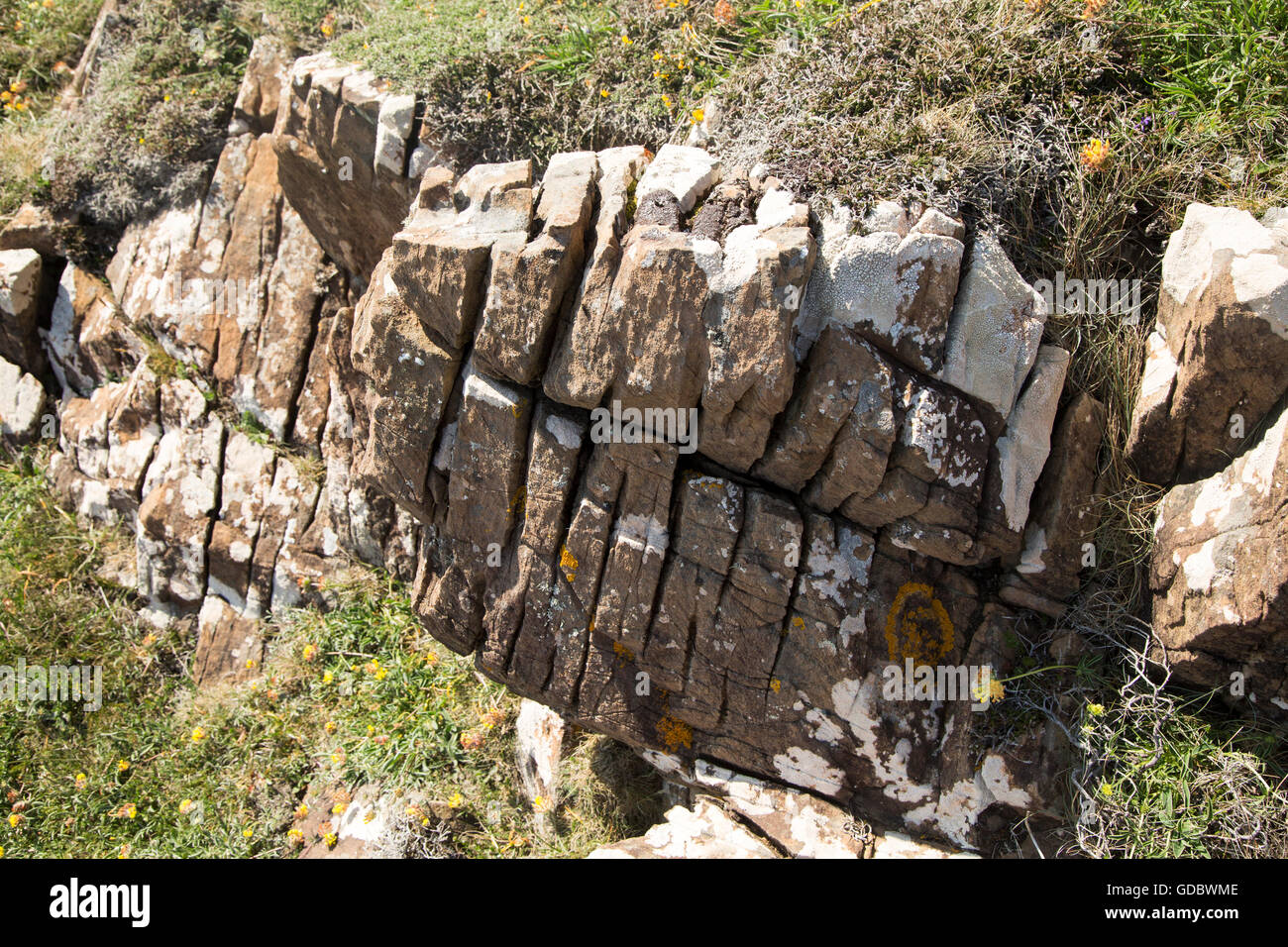 Joints in rock enlarged by weathering processes, Lizard peninsula ...
