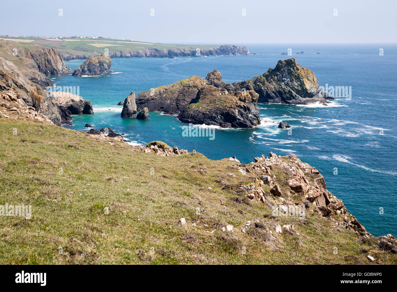 Coastal scenery, near Kynance Cove, Lizard peninsula, Cornwall, England ...