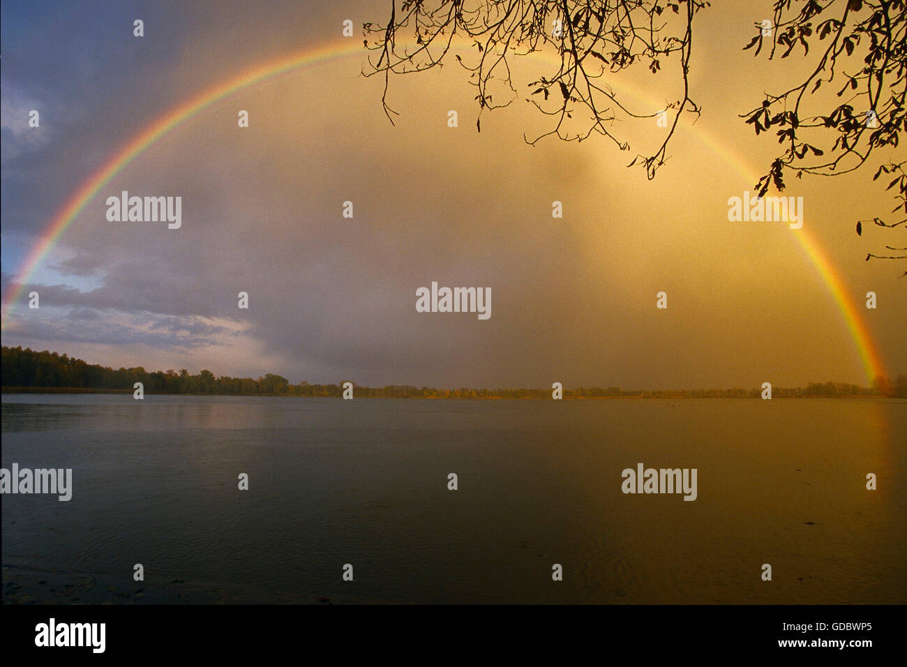 Lusatia summer hi-res stock photography and images - Alamy