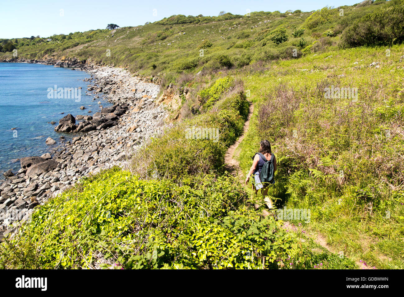 Lowland english landscape summer hi-res stock photography and images ...