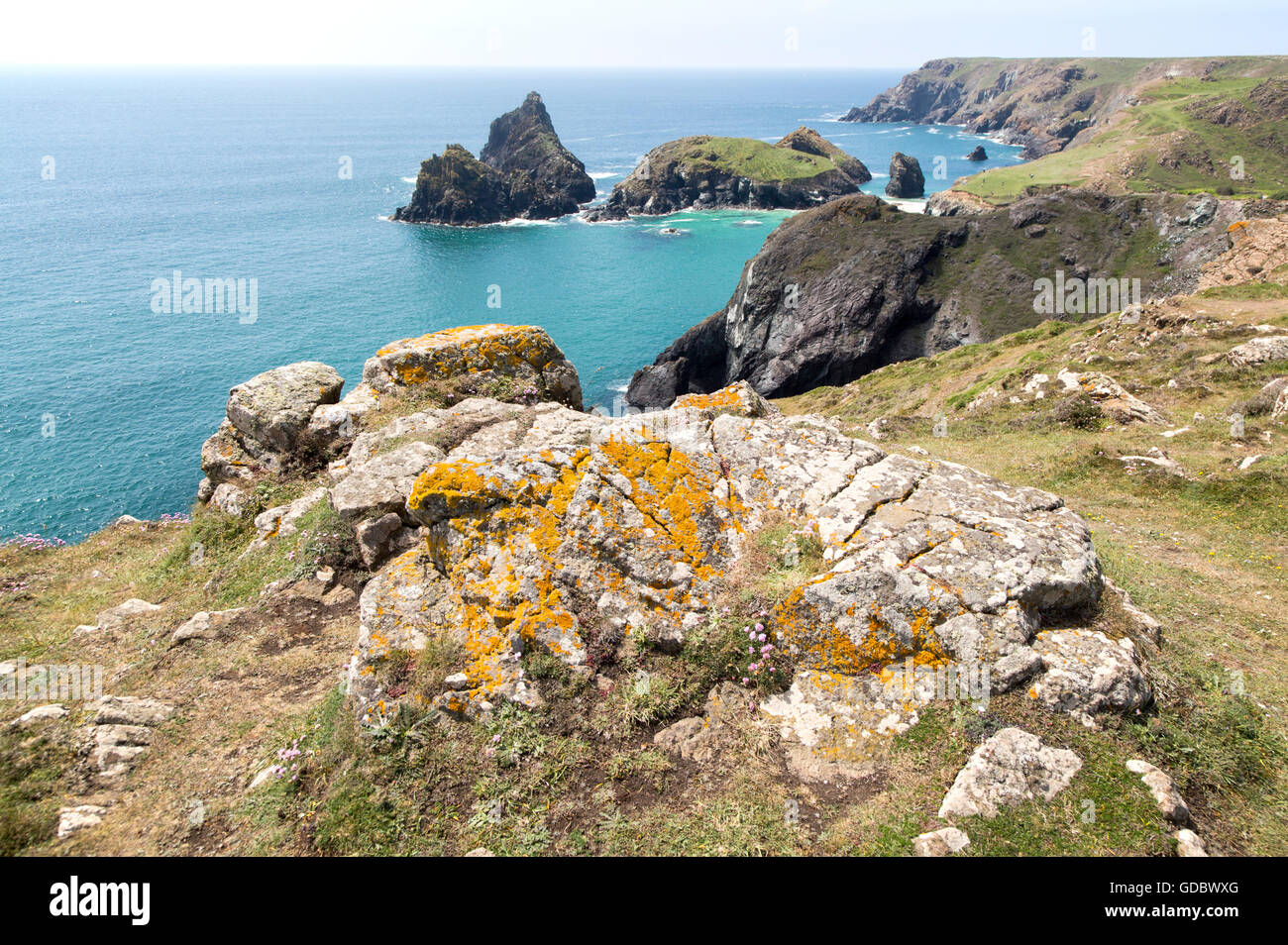 Coastal scenery, Kynance Cove, Lizard peninsula, Cornwall, England, UK ...