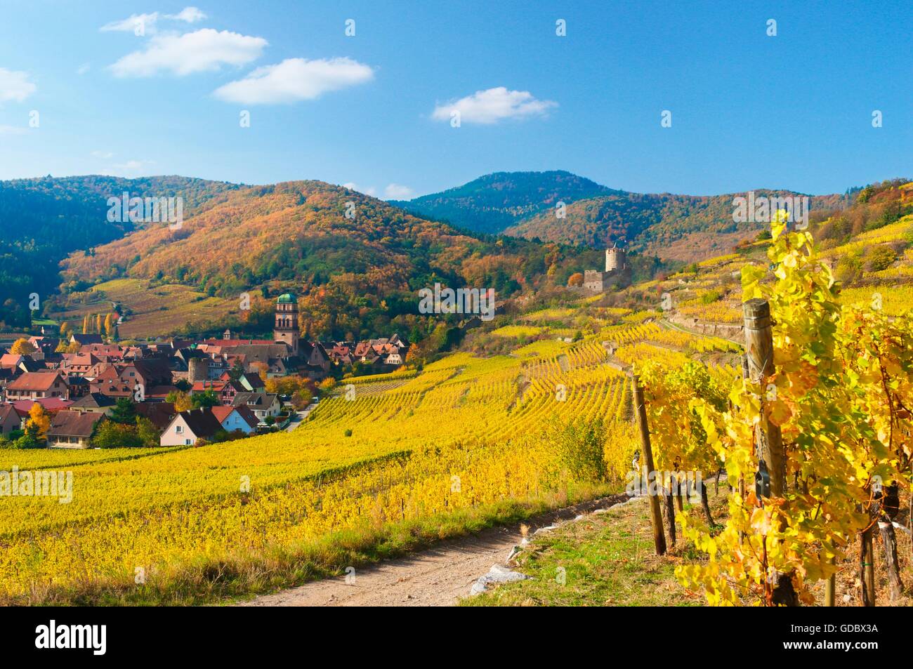 Alsace autumn hi-res stock photography and images - Alamy