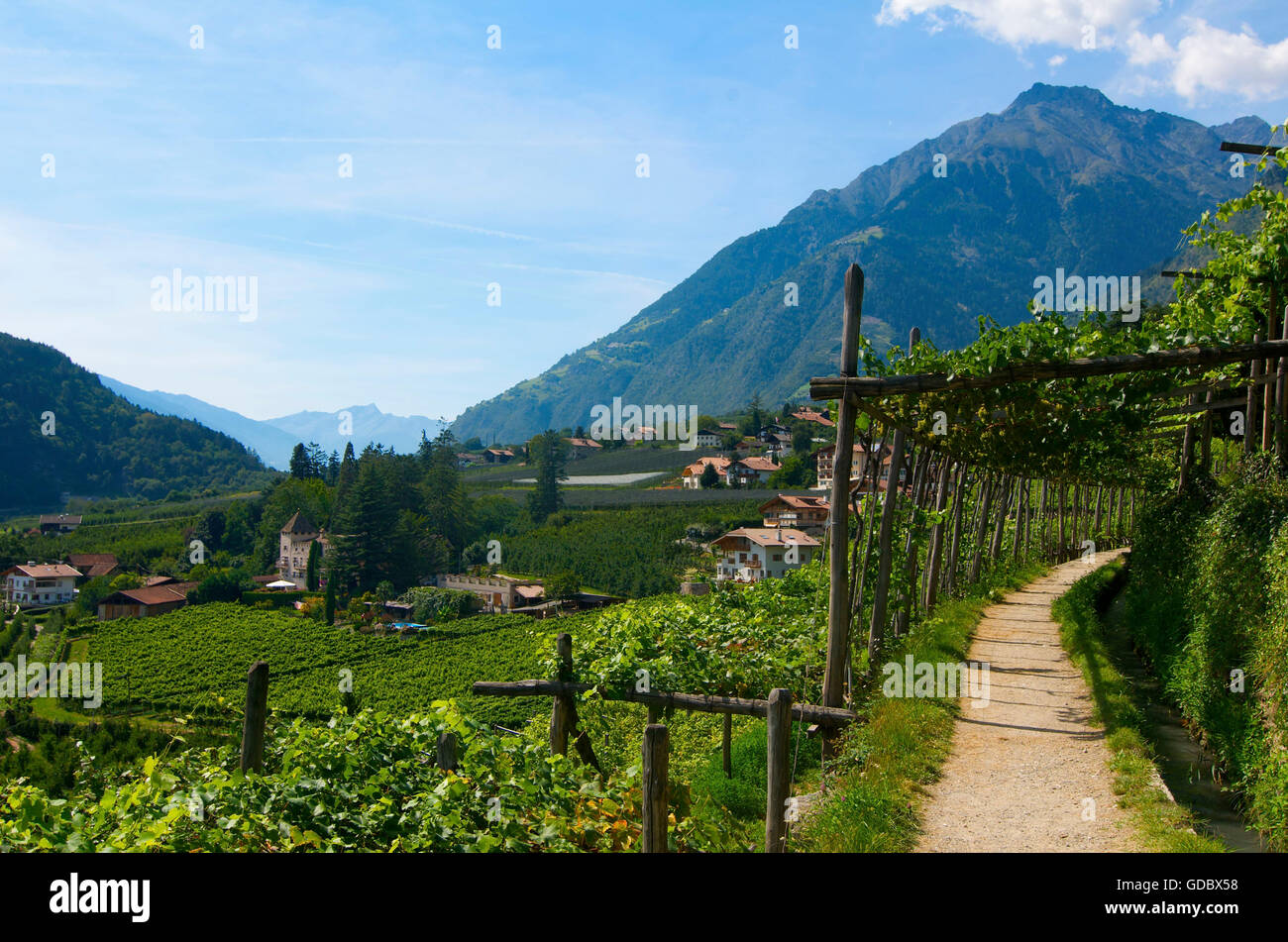 Waalweg, Hiking Trail, South Tyrol, Italy Stock Photo - Alamy