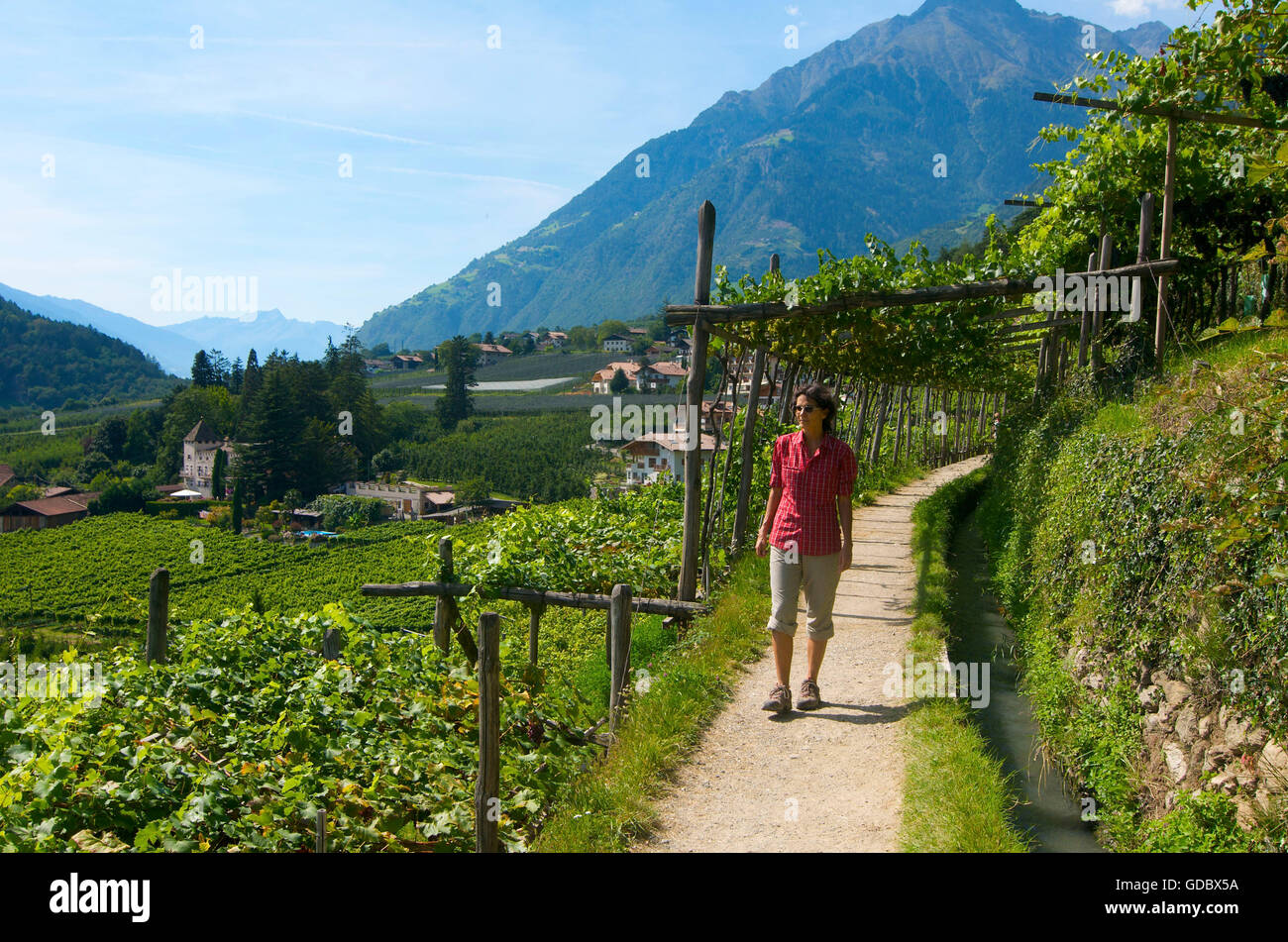 Waalweg, Hiking Trail, South Tyrol, Italy Stock Photo - Alamy