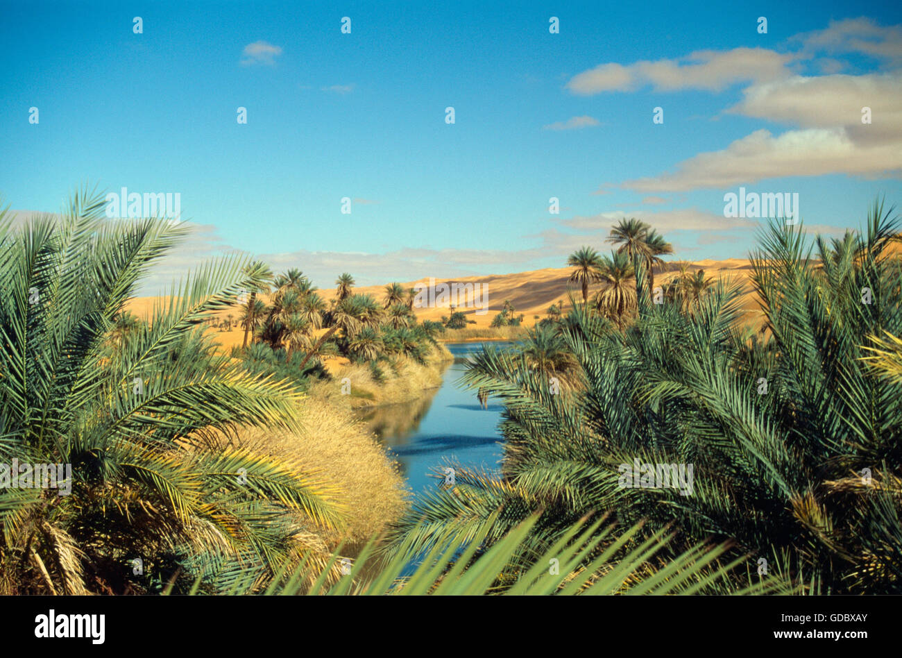 Oasis Um El Ma, Lake Mandara, Sahara Desert, Libya Stock Photo - Alamy
