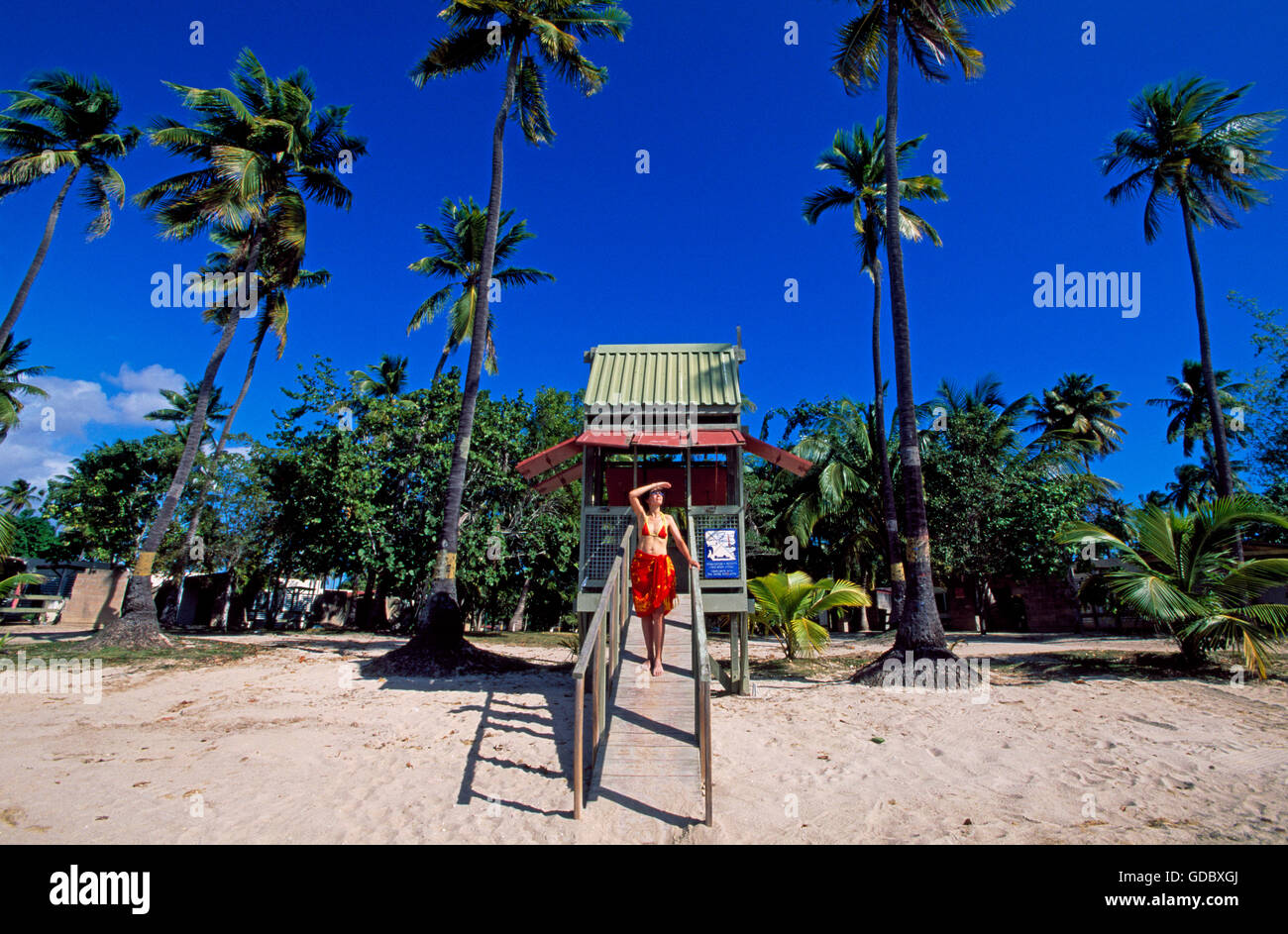 Boquerón puerto rico hi-res stock photography and images - Alamy