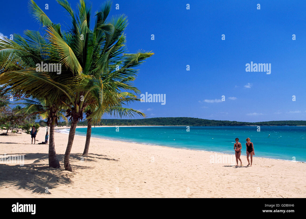 Vieques beach hi-res stock photography and images - Alamy