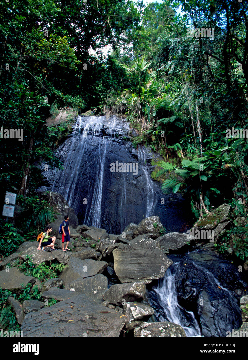 Puerto rico el yunque national park hi-res stock photography and images ...