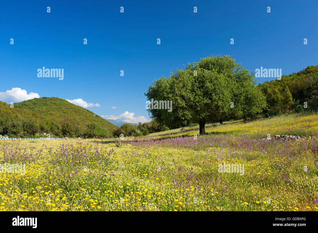 Beydaglan, Bey Daglari Mountains, Lykia, Turkey Stock Photo - Alamy