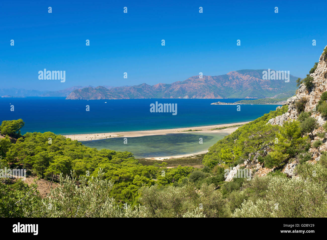 TurtleÂ´s Beach of Dalyan, Turkish Aegean Coast, Turkey Stock Photo - Alamy