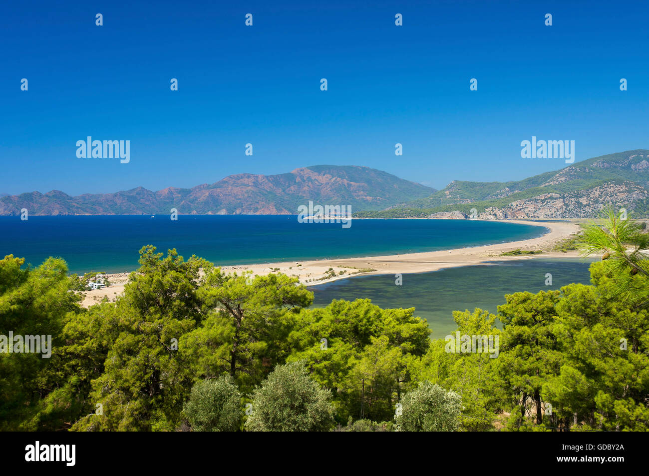 TurtleÂ´s Beach of Dalyan, Turkish Aegean Coast, Turkey Stock Photo - Alamy