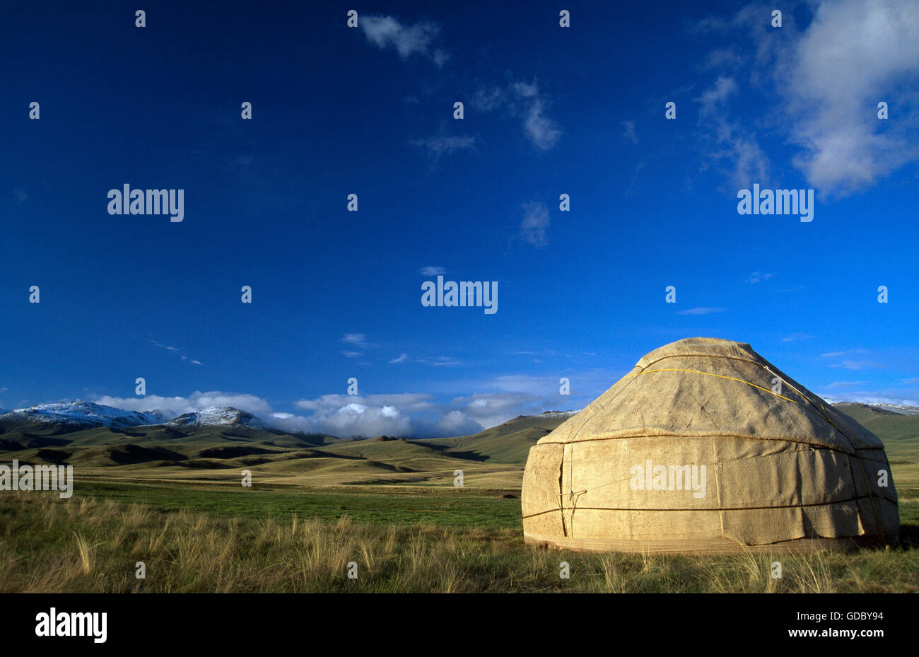 Moldo too hi-res stock photography and images - Alamy