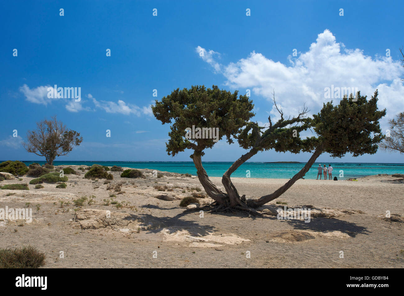 Elafonisi Beach, South Coast, Crete, Greece Stock Photo - Alamy