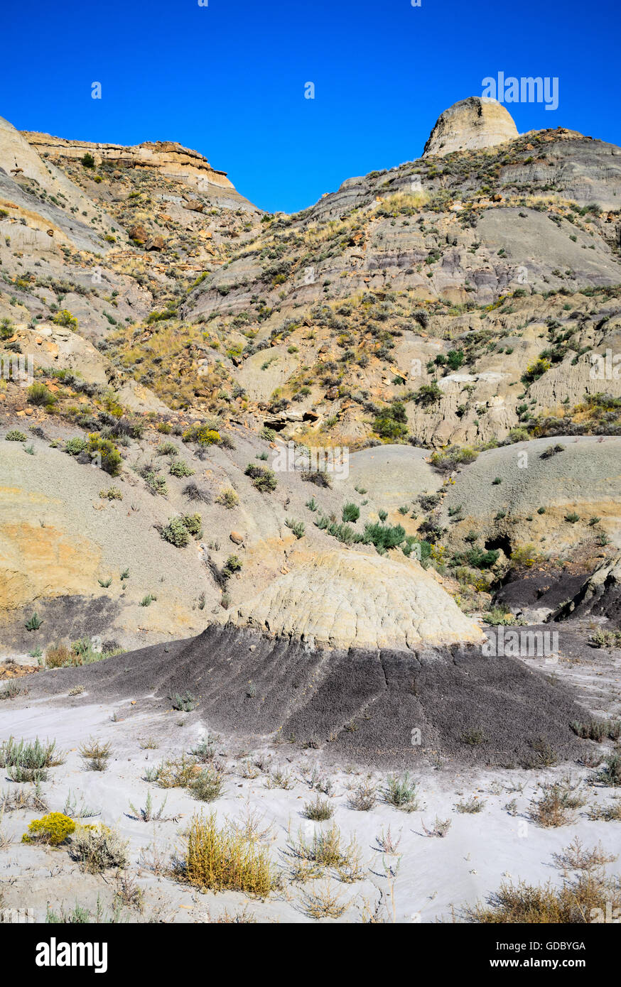 Makoshika state park montana hi-res stock photography and images - Alamy