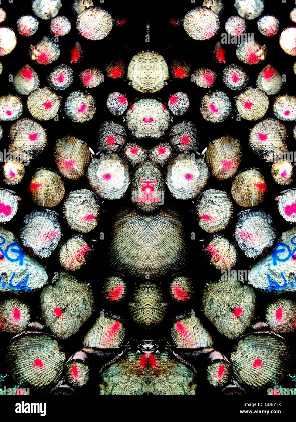 Pile of wood,creative,wood,concepts,timber colorful,timber,round Stock ...