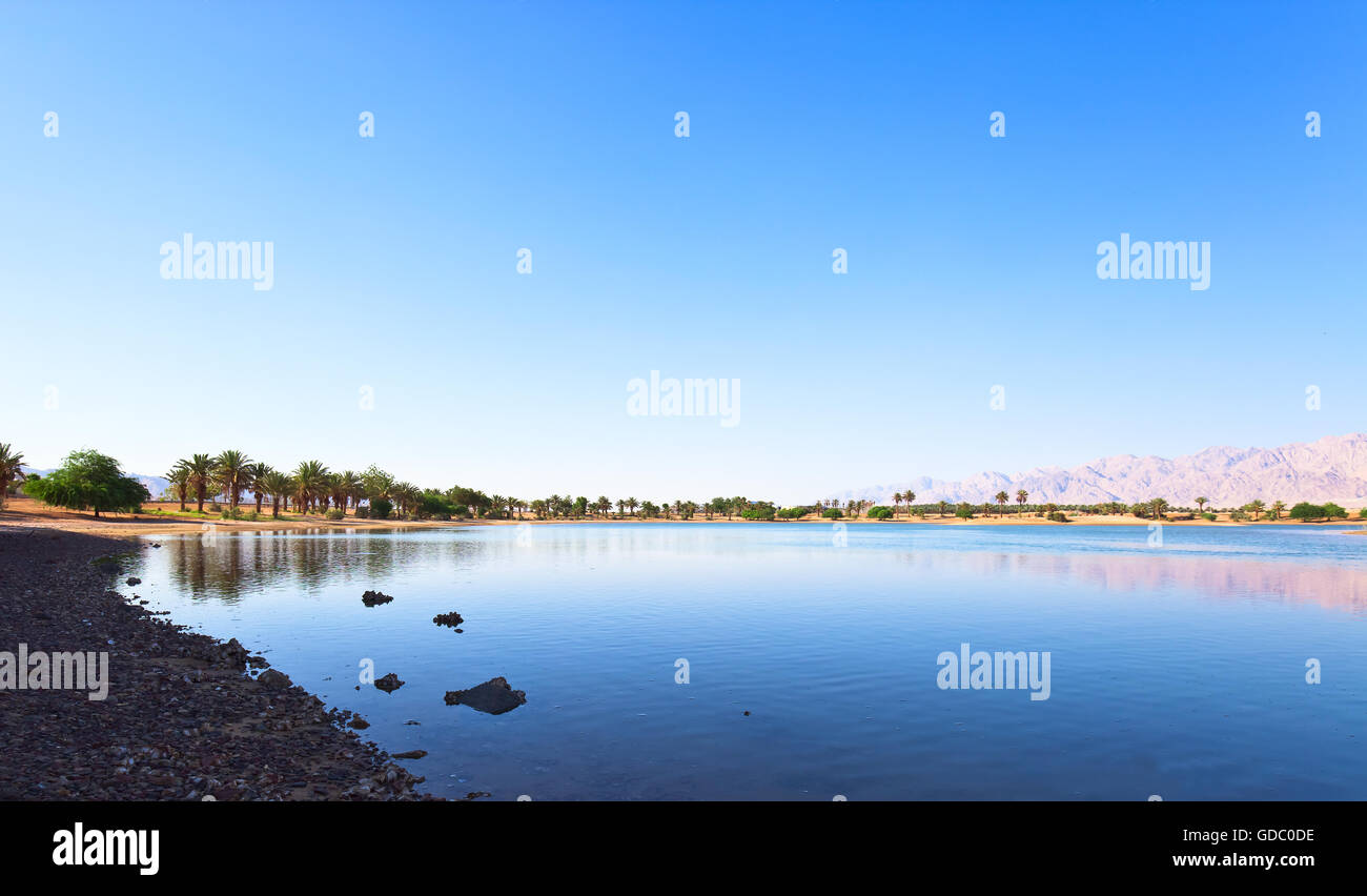 Idyllic oasis in the south of Israel Stock Photo - Alamy
