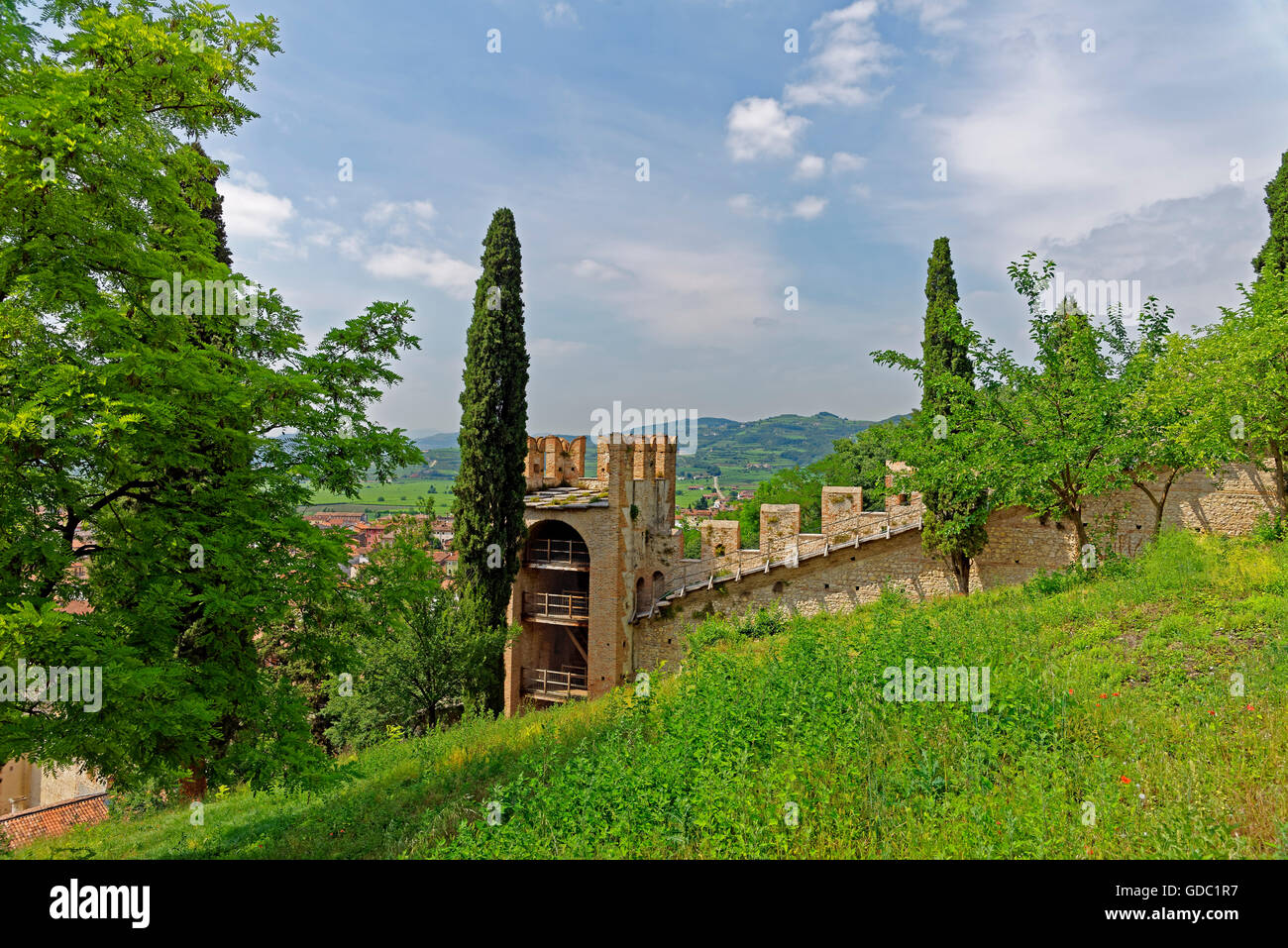 Rook wall hi-res stock photography and images - Alamy