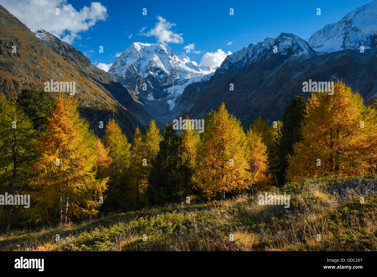 Collon hi-res stock photography and images - Alamy