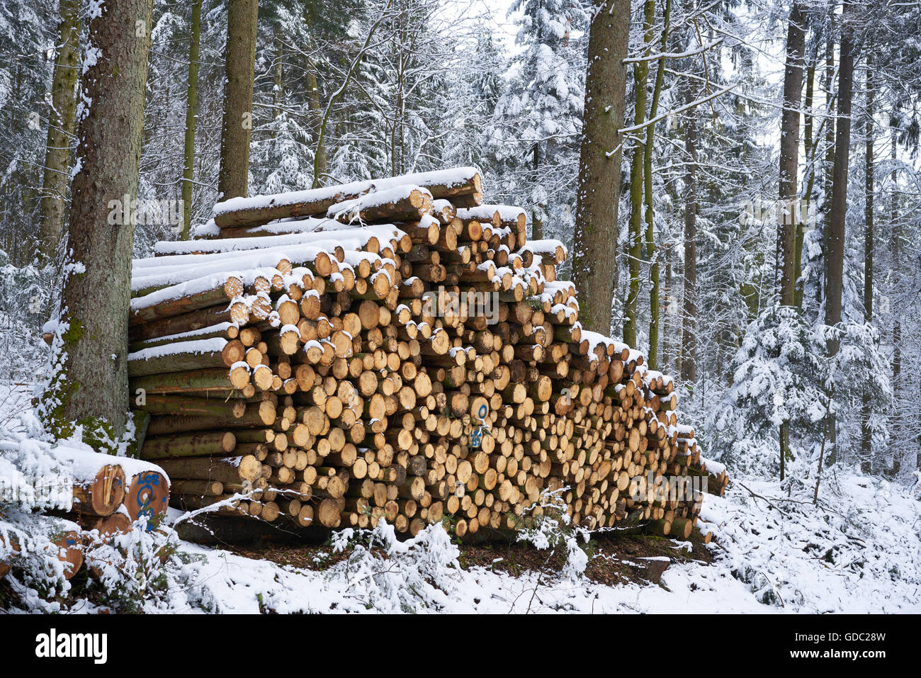 Polter hi-res stock photography and images - Alamy
