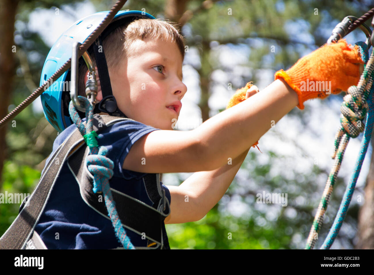 Five year boy on rope-way in forest Stock Photo - Alamy