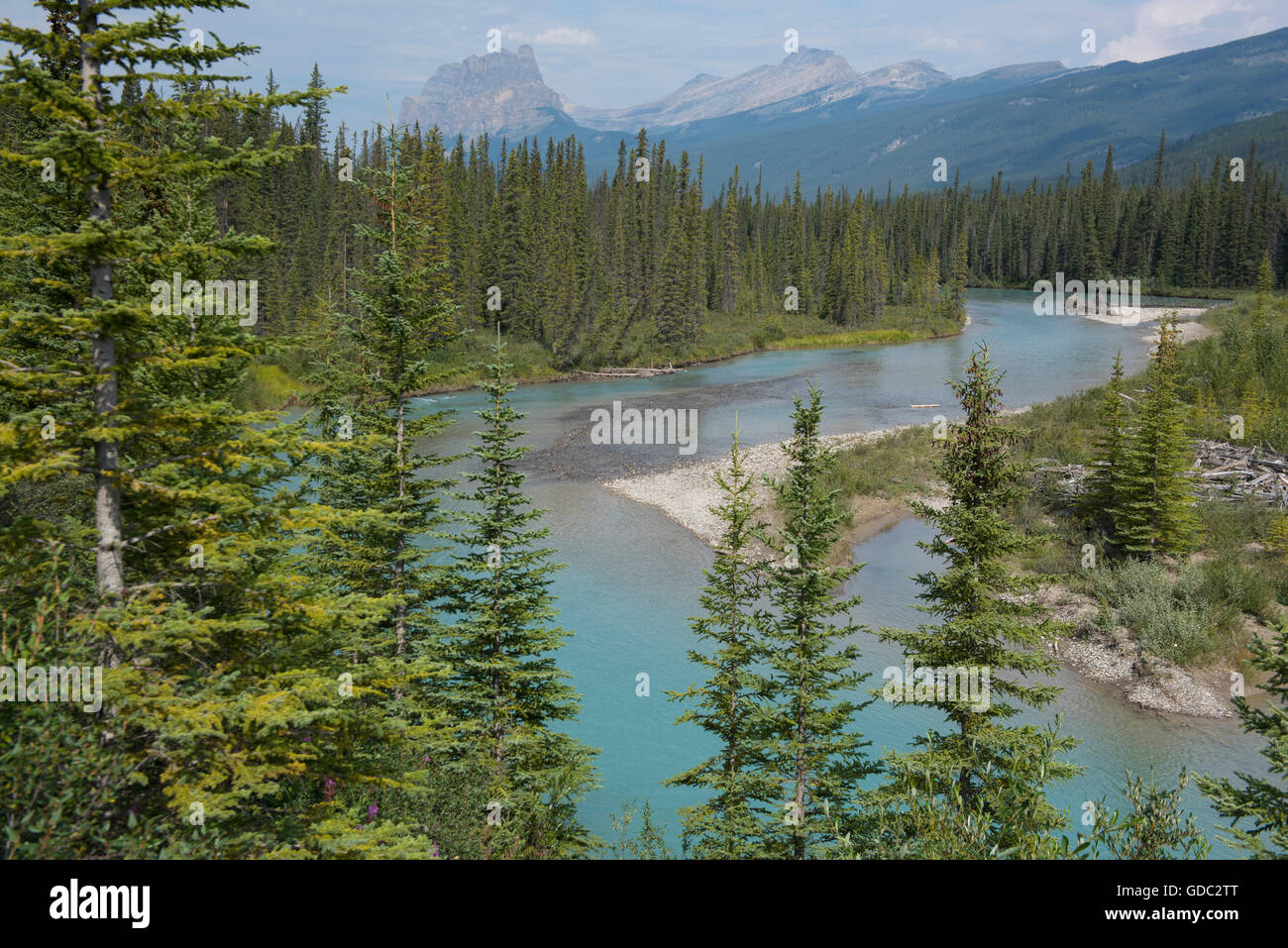 Bow valley river hi-res stock photography and images - Alamy