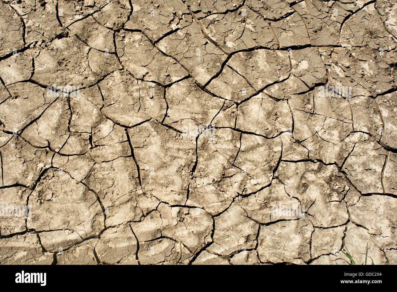 Dry cracked earth background, clay desert texture Stock Photo - Alamy
