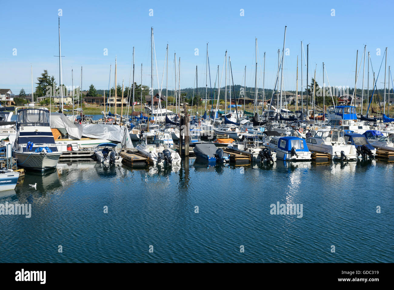 Deep bay marina hi-res stock photography and images - Alamy