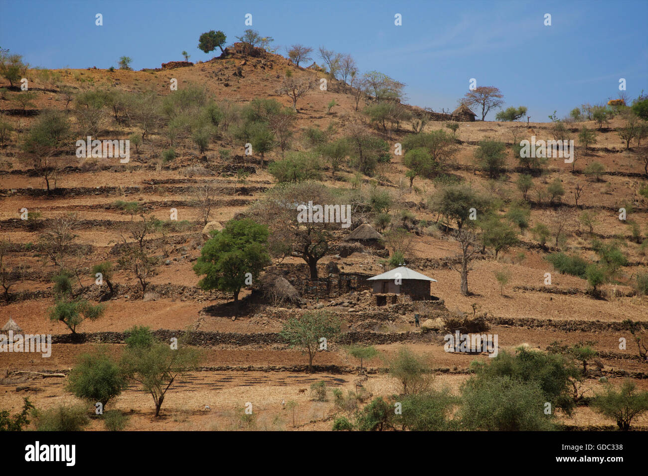 Ethiopian famine hi-res stock photography and images - Alamy