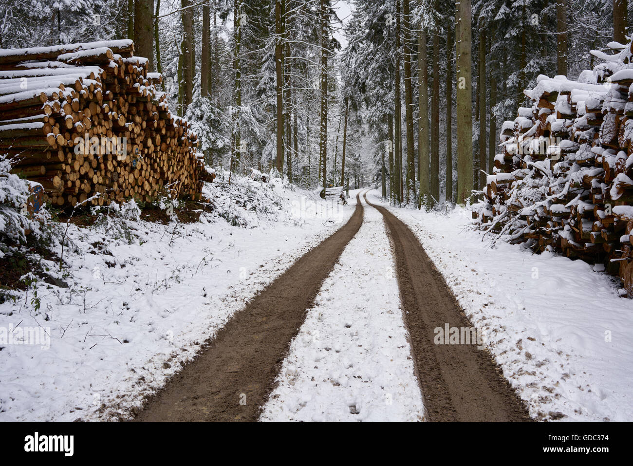 Large wood pile hi-res stock photography and images - Alamy