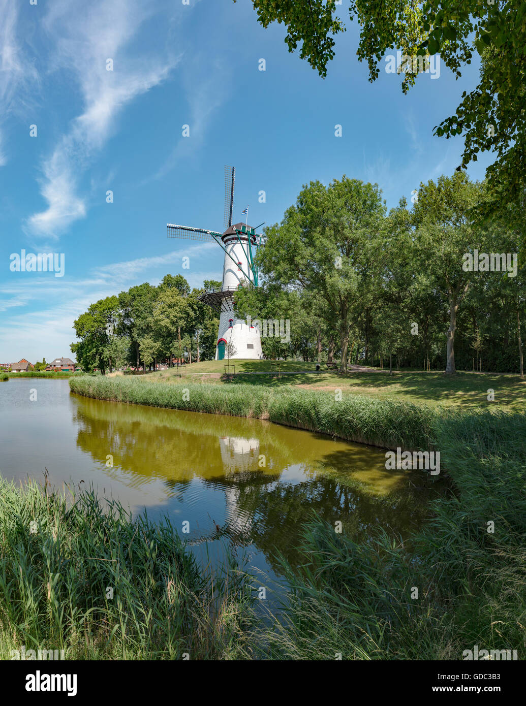 Tholen,Zeeland,White painted tower mill called The Hope Stock Photo - Alamy