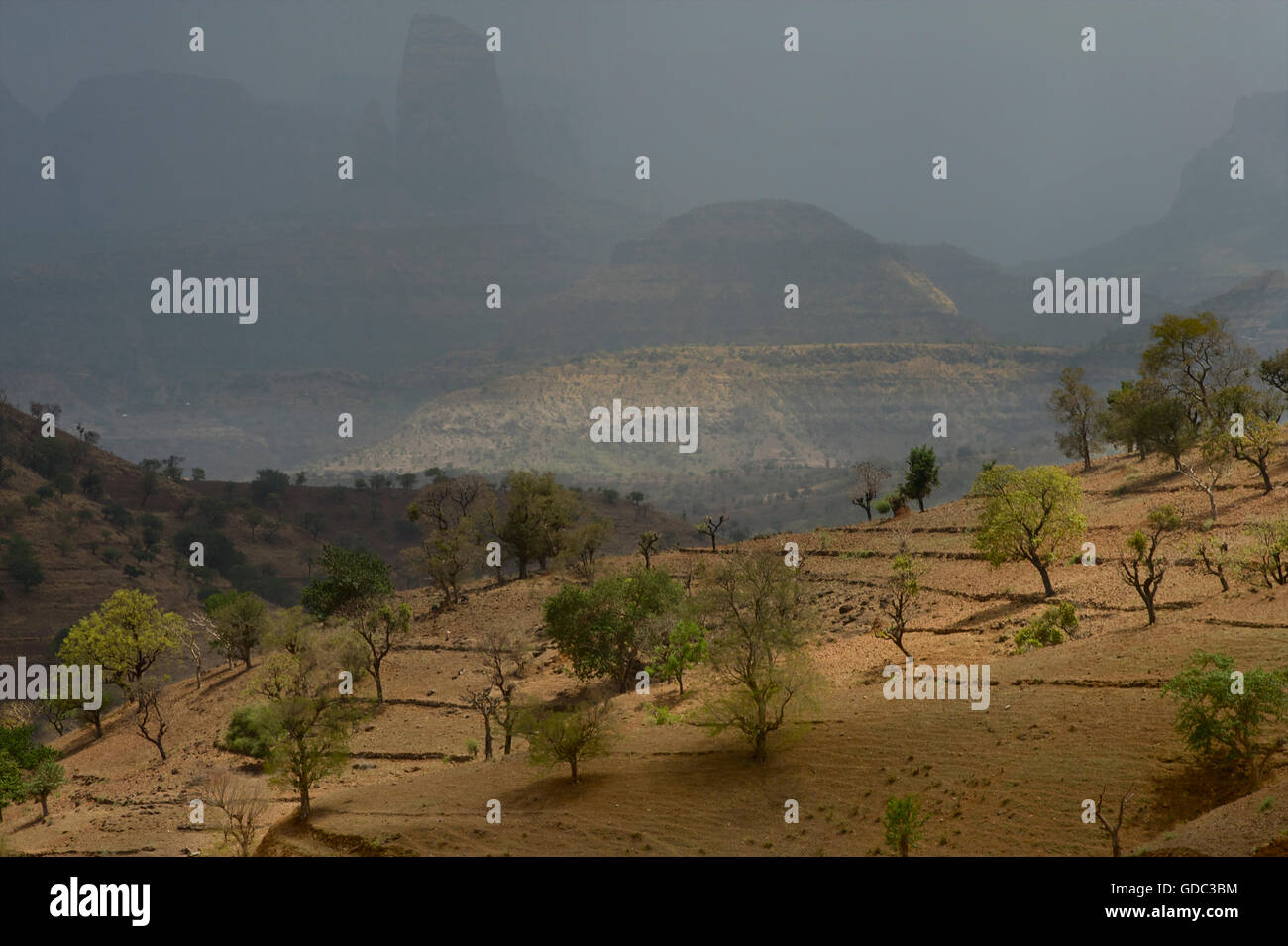 Spectacular scenery and fields near Addi Arkay, Amhara, Ethiopia Stock ...