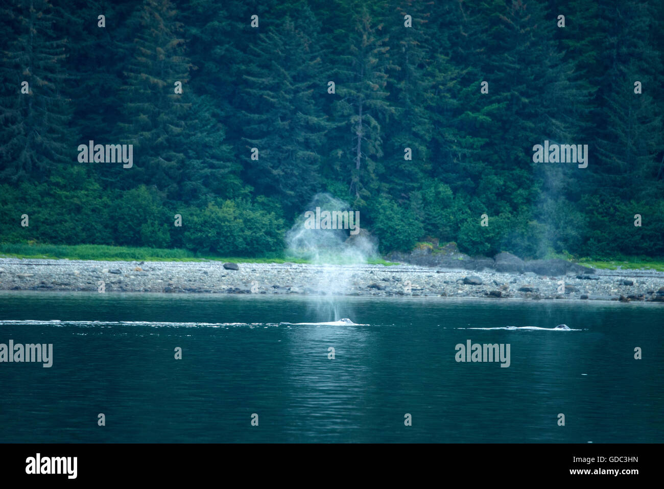 Point adolphus hi-res stock photography and images - Alamy
