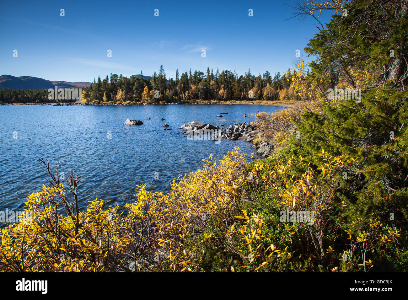 Mountains,Europe,autumn,autumn colors,scenery,landscape,Lapland,Swede ...