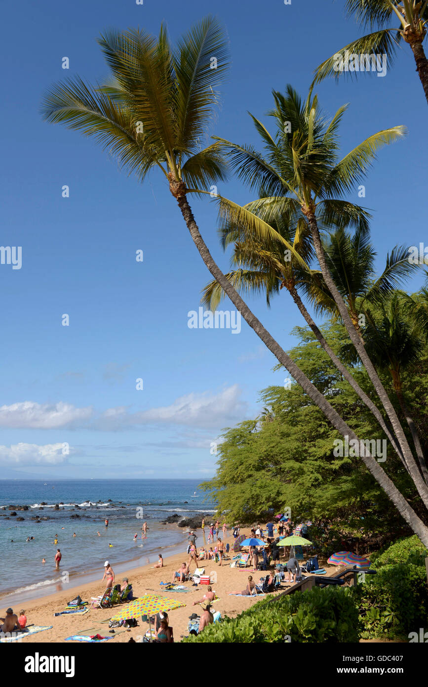 USA,Vereinigte Staaten,Amerika,Hawaii,Maui,People on Beach Stock Photo ...