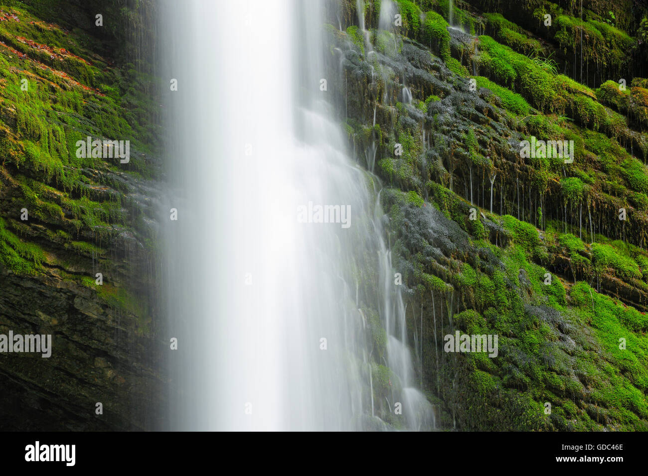 Thur waterfalls,canton of St. Gallen,Switzerland Stock Photo - Alamy