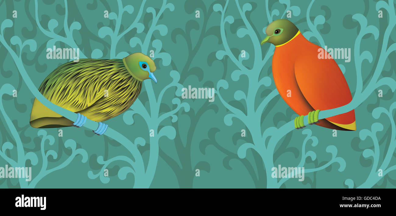 Fijian Fruit Doves - Golden fruit dove (Ptilinopus luteovirens) and ...