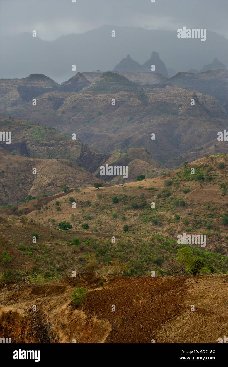 Addi arkay hi-res stock photography and images - Alamy