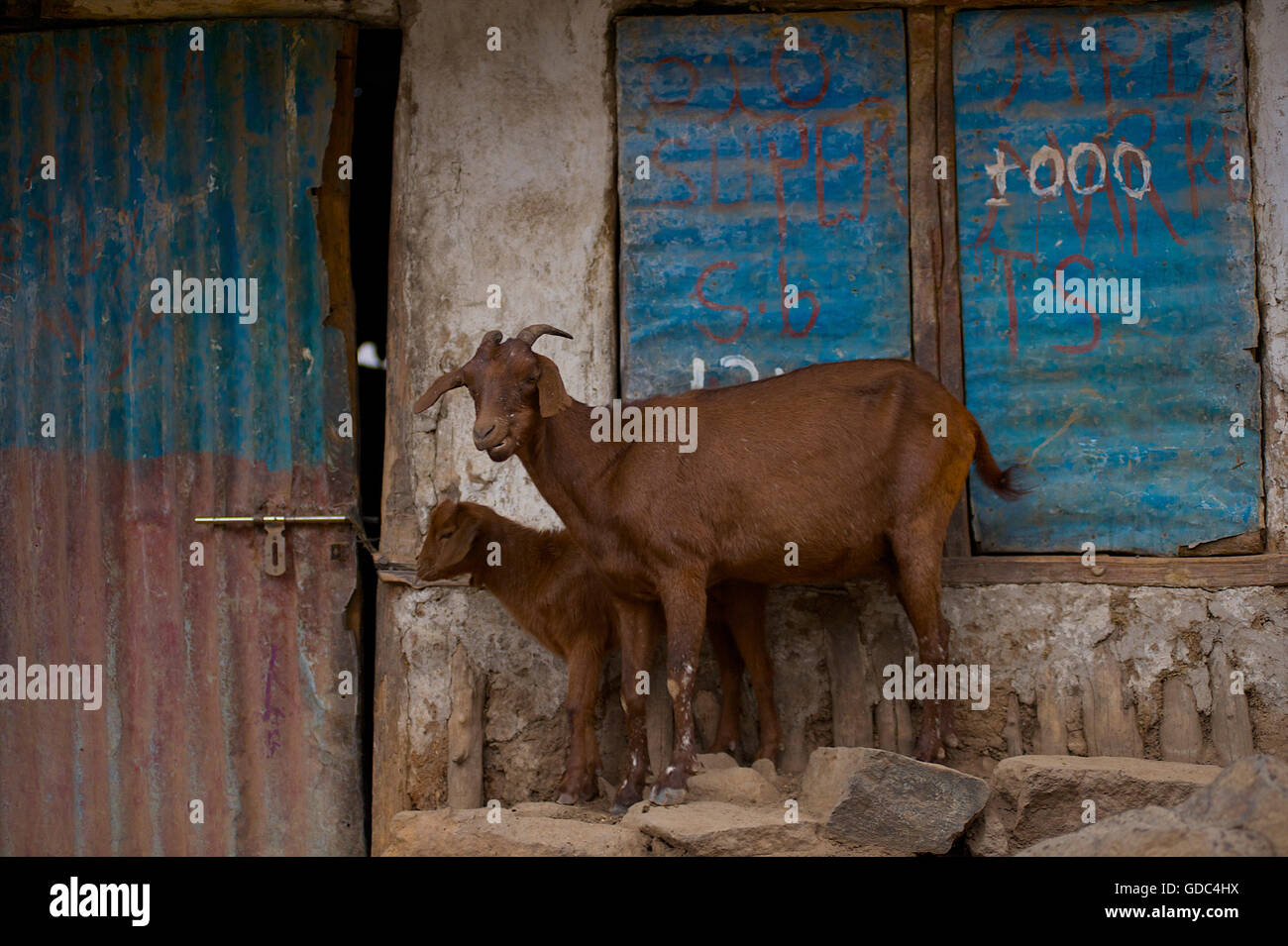 Ethiopia140924 50mb8bit hi-res stock photography and images - Alamy