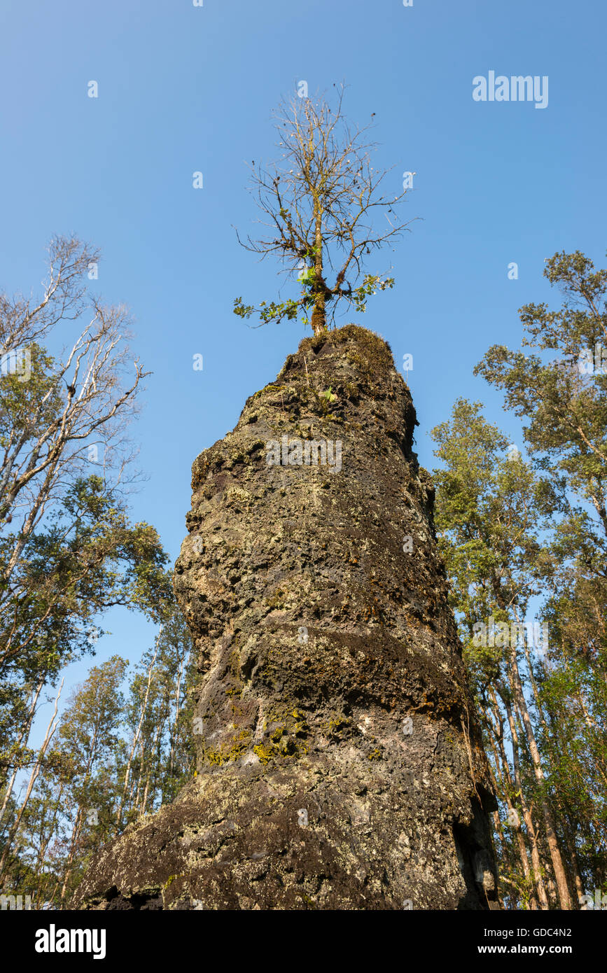 USA,Vereinigte Staaten,Amerika,Hawaii,Big Island,Puna District,Hawaii ...