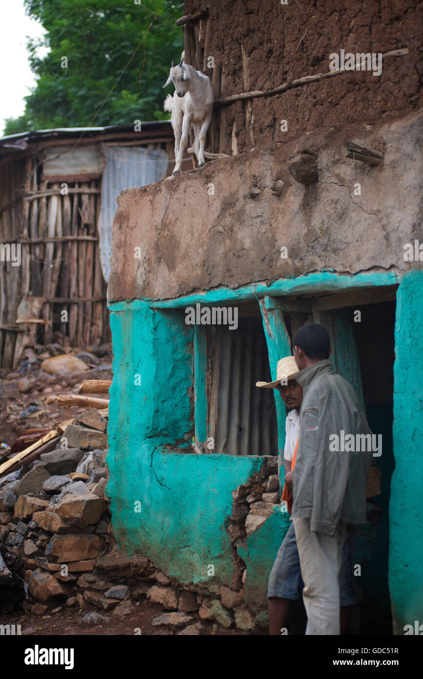 Addi arkay hi-res stock photography and images - Alamy